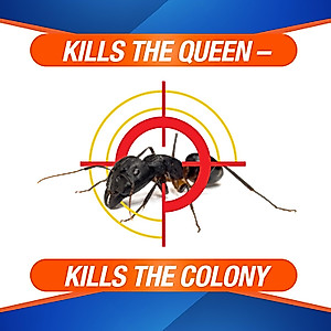 Homeplus™ Ant Killer AB, Metal Ant Bait, Ants Killer for House, Ant Traps Indoor & Outdoor, Case Pack, 48 Bait Stations