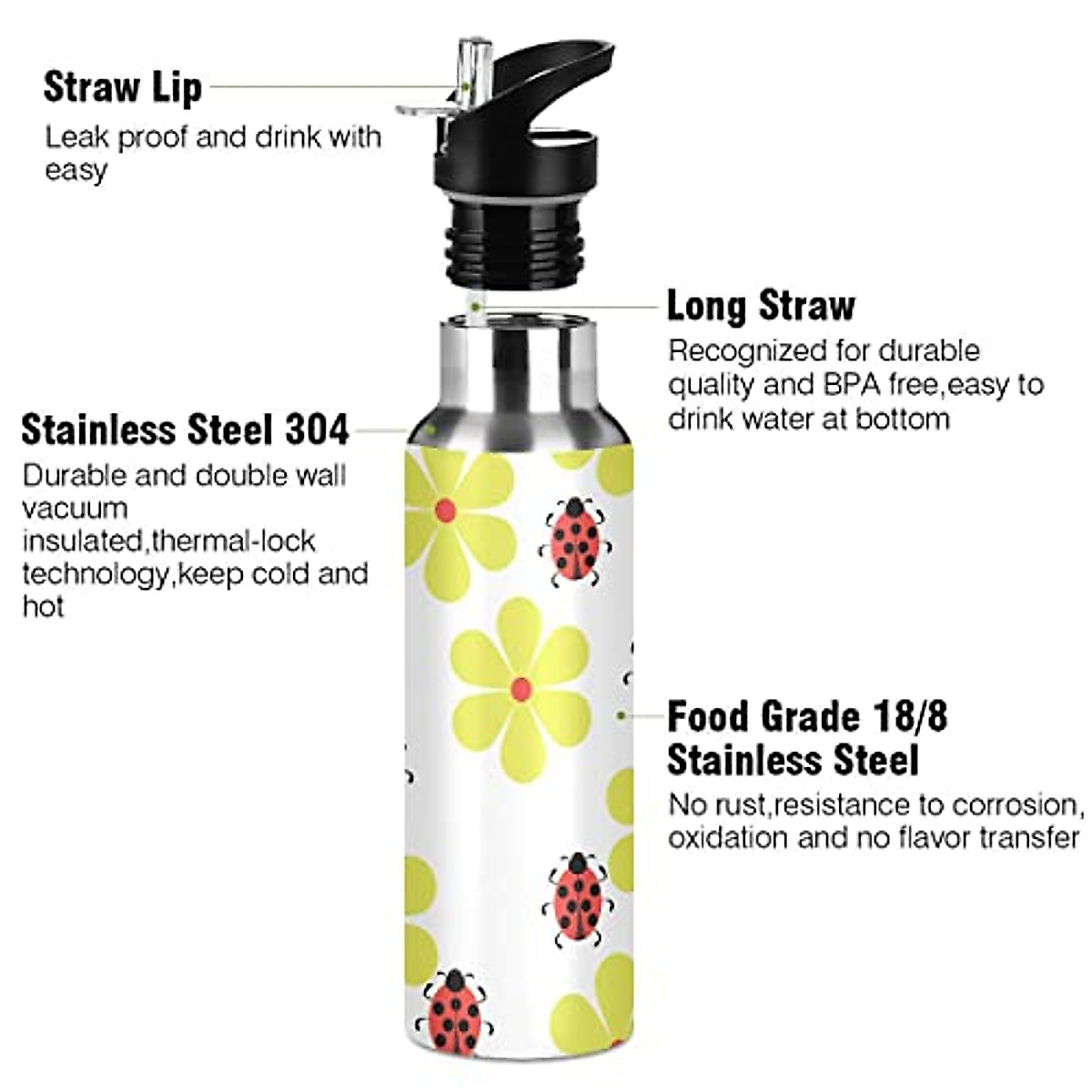 xigua Ladybug Water Bottle Double Walled Stainless Steel Leak Proof Thermo Flask for Sports Gym Cycling Outdoor,20 oz.