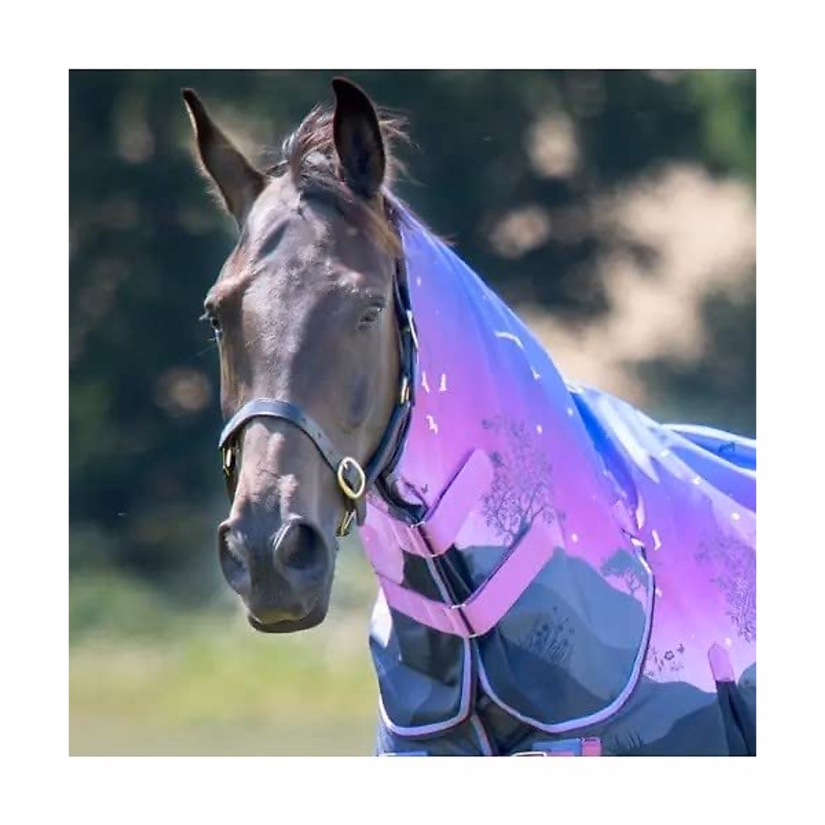 Shires Tempest Original Lite Neck Cover