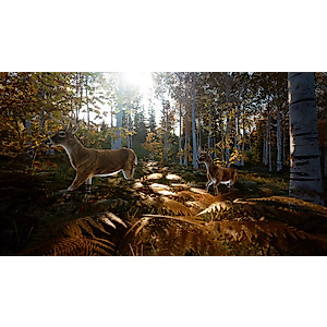 Hunting Simulator 2 (Xsx) - Xbox Series X