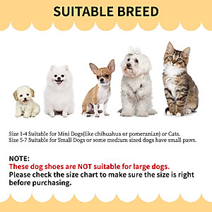 LUZGAT Dog Boots Paw Protectors,Small Dog Winter Boots Shoes,with Anti-Slip Sole and Plush for Warm Snow Outdoor Walking,Pack of 8(Black+Red,Size 2)