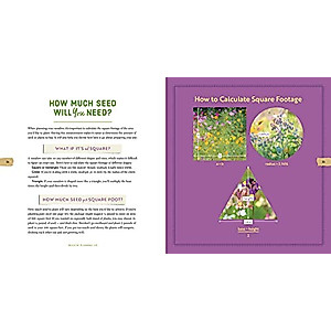 Mini Meadows: Grow a Little Patch of Colorful Flowers Anywhere around Your Yard