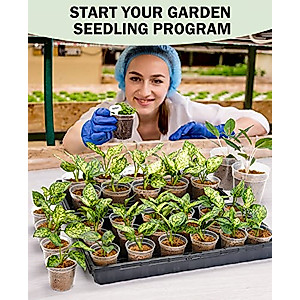 homenote Clear Nursery Pots, 60 Packs 3 Inches Seedling Pots with Drainage Holes, High Transparency Plant Pots Durable Seed Starter Pots Reusable for Plants Vegetables with Bonus 20 Plant Labels