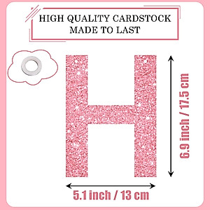 FALIZIFU Pink Happy Birthday Banner Birthday Sign Pink Happy Birthday Decorations for Men Women Birthday Party Supplies Wall Door Banner Flag