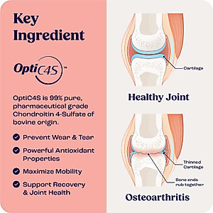 Summit Animal Health Lift Feline Pain Relief Supplement Inflammation Hip & Joint Support Vitamin for Cats - Natural Chondroitin with Liposomal Delivery for Arthritis - Drug Free - All Ages