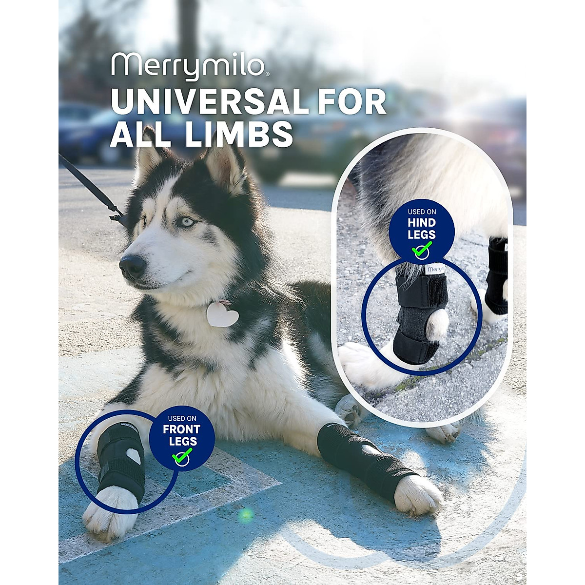 MerryMilo Dog Leg Brace for Rear Hock & Ankle, Canine Hind Leg Joint Compression Wrap for Torn ACL & CCL, Injury and Sprain Protection, Wound Care and Loss of Stability 1 Pair, Size: Large