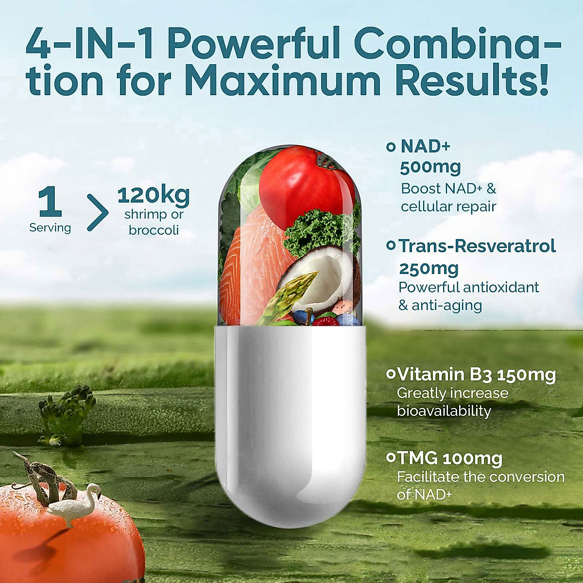 NAD+ Supplement 1000MG for Max Absorption, 60 Capsules