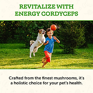Animal Essentials Energy Cordyceps Mushroom Supplement for Dogs & Cats - Support Stamina & Endurance, Healthy Respiratory & Kidney Functions, Antioxidant, Mushroom Powder Extract - 2.8 Oz (Pack of 1)
