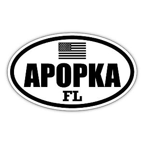 3 Pack Reflective Apopka FL Florida Orange County Stealthy US Flag Euro Decal Sticker Vinyl for Hard Hats, Bottles, Glass, Toolbox 2" x 3"