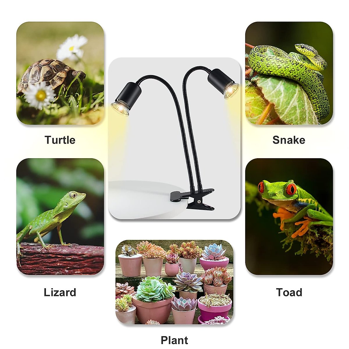 TFNN Reptile Heat Lamp, Double-Head Heat Lamp with Clamp, UVA UVB Reptile Light with Intelligent Cycle Timer for Turtle, Bearded Dragon, Lizard and More, 2 Bulbs 50W+75W