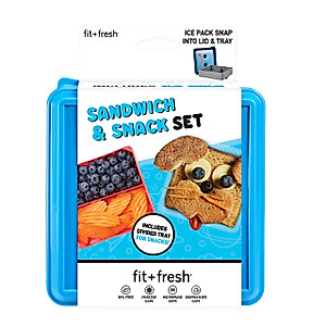 Fit & Fresh Divided Carrier with Removable Ice Lunch Pack, 5.75" x 6" x 3.625", Colors may vary