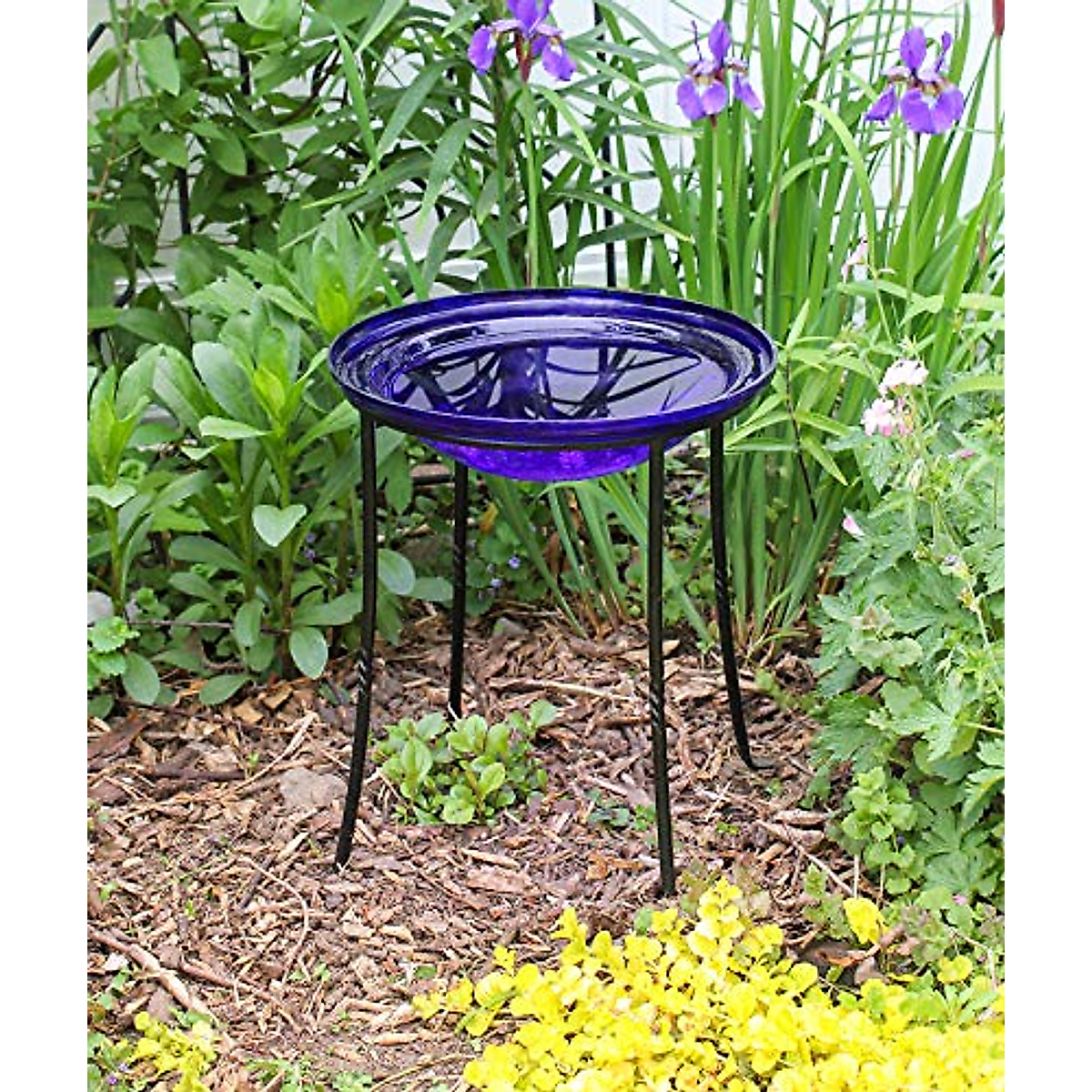 Achla Designs FB-14 Ring Wrought Iron Metal Plant birdbath Bowl Stand Flowerpot Holder, Black