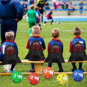 Ceenna 6 Pcs Soccer Ball Bulk with Pump Bag Machine Stitched Deflated Soccer for Outside Sports Training Game Practice(Stylish,Size 4)