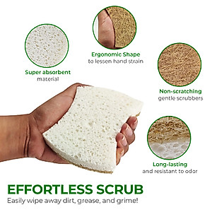 AIRNEX Biodegradable Natural Dish Sponges Kitchen Pack of 12 - Coconut and Cellulose Sponges for Dishes and Surfaces - Eco Friendly Non-Scratch Heavy Duty Dish Scrubber Sponges Bulk for Household