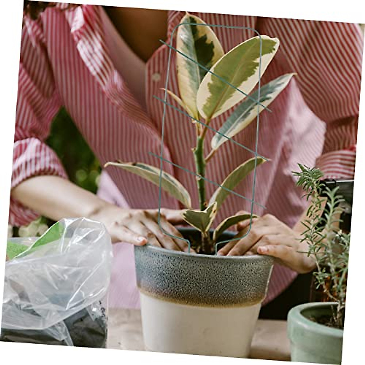 Yardwe 2pcs Plant Climbing Trellis Metal Planters for Outdoors Mini Plants Plant Stand Outdoor Cucumber Trellis Climbing Rose Trellis Artificial Trellis Gardening Accessory Rattan Frame