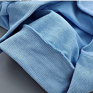 Infant Toddler Baby Boy Girl Sweatshirt Pullover Hooded Pocket Warm Casual Cold Weather Sweatshirt Newborn Sweatshirts Blue