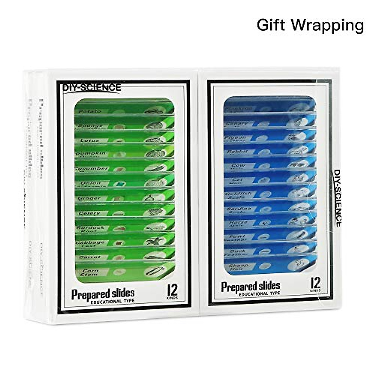 48pcs Kids Prepared Microscope Slides of Animals Insects Plants Flowers Specimens for Kids’ Microscopes