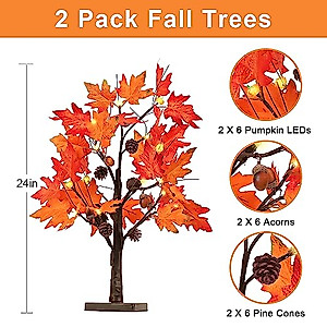 YEAHOME Fall Decorations for Home, 2 Pack 24”/2FT Lighted Fall Maple Leaves Tree with Warm White LEDs Autumn Decor, Pumpkin Lampshade, Pine Cone, Acorn Ornaments Battery Powered Timer for Thanksgiving