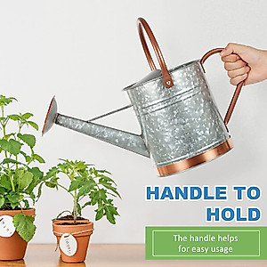 8pints 1 Gallon Watering Can for Outdoor Plants - Metal Watering Can for Outdoor Plants House Plant Watering Can with Sprinkle Head Perfect Watering Can Indoor Plants for Outdoor and Indoor Gardening