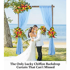 DUOBAO Chiffon Backdrop Curtain 5FTx10FT Royal Blue Chiffon Fabric Drapes for Wedding Ceremony Chiffon Voile Curtains 2 Panels 29"x120" Photography Backdrop Drapes (29''x120''x2pcs, Royal Blue)