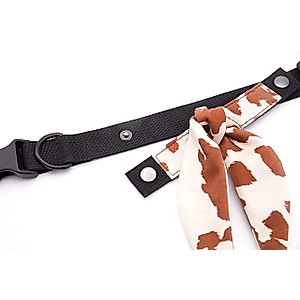 BOW Teddy Long - Modular Dog Collar