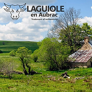 Laguiole en Aubrac corkscrew sommelier waiters knife 3 functions SOM99PWI larimar handle, stainless steel shiny