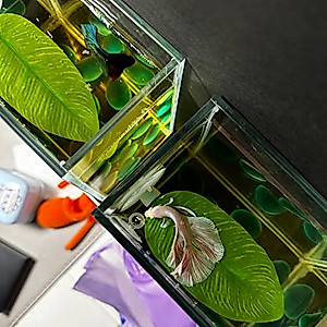 DOBA No Wire Betta Bed Leaf Hammock, Silk Betta Fish Leaf Hammocks Pad Lounger Toys Lightweight and Realistic Fish Hideout Plastic Aquarium Plants Accessories for Fish Tank Decorations (2pcs), Green