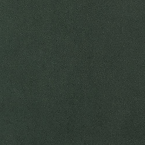 Amazon Brand – Rivet Aiden Mid-Century Modern Tufted Velvet Sofa Couch (86.6"W) - Hunter Green