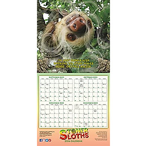 Stoner Sloths 2024 Wall Calendar, 16-Month Humor & Comic Calendar, 12" x 12"