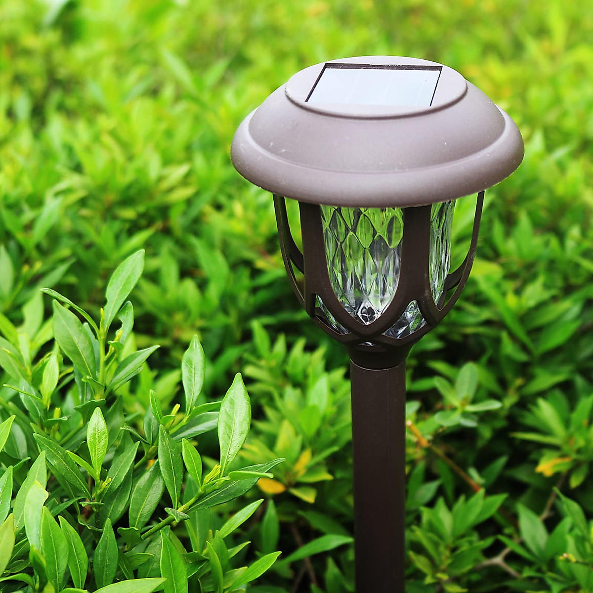 YYYC Solar Lights Outdoor Landscape Lights - Waterproof Solar Garden Lights, Warm White Solar Pathway Lights, Bright Outside Lights for Yard, Walkway, Lawn 6PCS