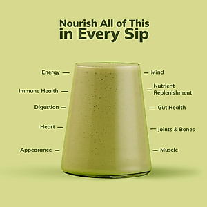 Ka'Chava Ka’Chava All-In-One Nutrition Shake Blend, Matcha, 85+ Superfoods, Nutrients & Plant-Based Ingredients, 26 Vitamins and Minerals, 25g Plant-Based Protein, 2lb