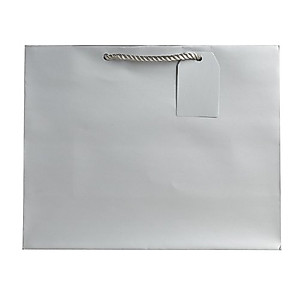 Jillson Roberts 6-Count Large 12.5" x 10" x 5" Gift Bags Available in 12 Solid Colors, Silver Matte