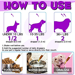 15 in 1 Dog Multivitamin, All-in-One Multi Liquid Multivitamin for Dogs, Dog Vitamins and Supplement with Digestive, Immunity, Allergy Skin & Coat Support, Hip & Joint, All Ages, Breeds 2 oz