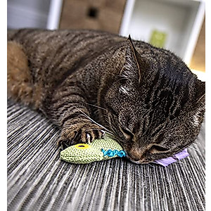 Petlinks HappyNip Crinkle Chameleon Cat Toy, Contains Silvervine & Catnip - Green, One Size