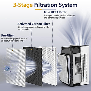 25 Replacement Filter for 25 Air Purifier S1/W1/B1, 3-in-1 H13 True HEPA Activated Carbon Filter