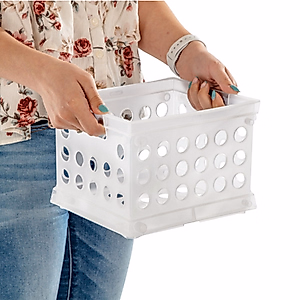 Sterilite 16958612 Mini Crate, Clear, 12-Pack,Small