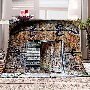 NARBOR Soft Fleece Throw Blanket - Fluffy Microfiber Solid Blankets for Bed and Couch Double/Single Size - 59X79Inch Vintage Wooden Door Print Printed Flannel Blanket for Bed, Couch and Sofa