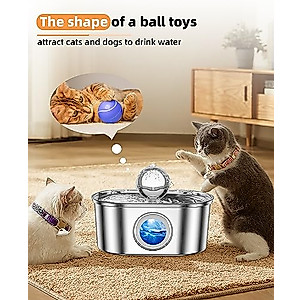 Cat Water Fountain Stainless Steel, 3.2L/108oz Super Quiet Cat Fountains for Drinking Cat Fountain Water Bowl with Water Level Window and LED Light Automatic Pet Water Fountain for Cats Dogs