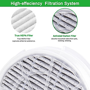Future Way Replacement Filter Compatible with GL2103, LTLKY 900S, SY900S Air Purifier, JINPUS Houzetek WSTA Meleden DHS COSTWAY, 2-Pack