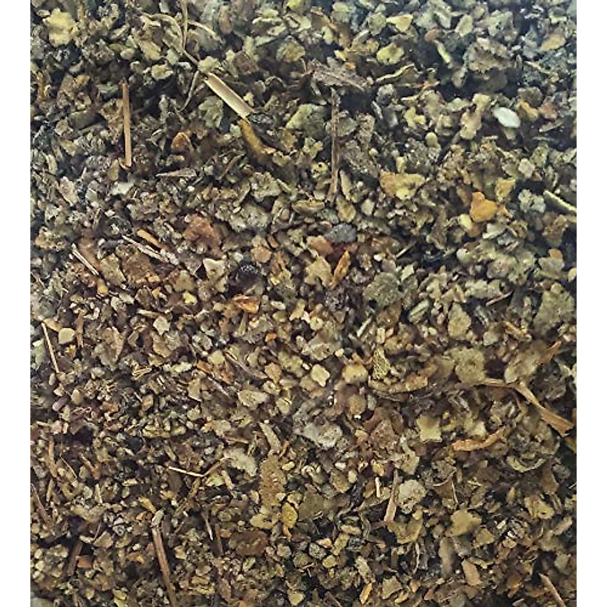 Mullein Leaf Cut & Sifted 1/2 Pound Bulk Bag-Velvet Dock or Velvet Plant aka Candlestick-8 OZ