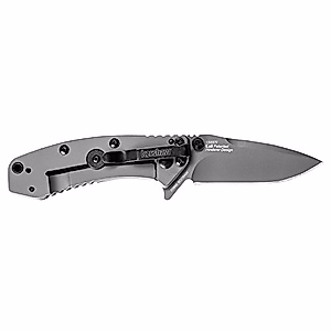 Kershaw Cryo Knife, 2.75" Stainless Steel Drop Point Blade, Assisted Opening Everyday Carry Pocket Knife