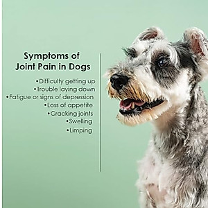 Pet Health Solutions Hylox Soft Chews for Dogs - Supports Joints & Cushions Connective Tissues - Glucosamine - Alpha Linolenic Acid - Creatine -120 Soft Chews