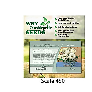 Outsidepride Lisianthus Sapphire White AKA Texas Bluebell or Prairie Gentian Garden Flowers - 50 Seeds