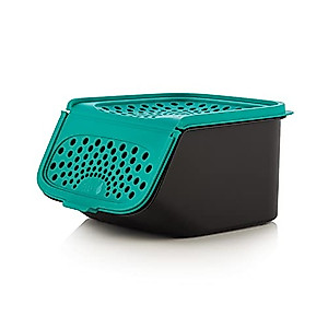 NEW TUPPERWARE MODULAR MATES GARLIC STORAGE 2.3 KG (Single Pack)