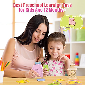 FISHOAKY Talking Flash Cards Educational Toys for 2 3 4 5 6 Year Old Boys Girls, Learning Toys, 112 Audible Baby Flash Cards 224 Words, Preschool Learning Toys Birthday Gift for Kids, Pink