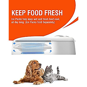 Madatop Automatic Wet Food Cat Feeders,2 Meals Digital Microchip Cat Feeder for Dog & Cat,Dry or Semi-Moist Pet Food Dispenser with 48 Hours Timer,Tamper Resistant Design (Cat Feeder)