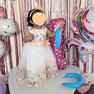 12 18 24 Months Formal Pageant Princess Easter Dresses for Girls Embroidery Sleeveless 2T Little Girl Elegant Spring Prom Lace Dresses 24M Orange