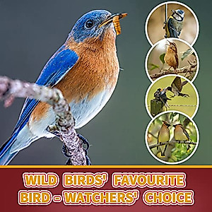 NO 24 Oz Premium Canned Steamed Juicy Mealworms for Reptiles, Amphibians, Birds -an Alternative to Live Meal Worms for Bearded Dragon,Wild Birds etc