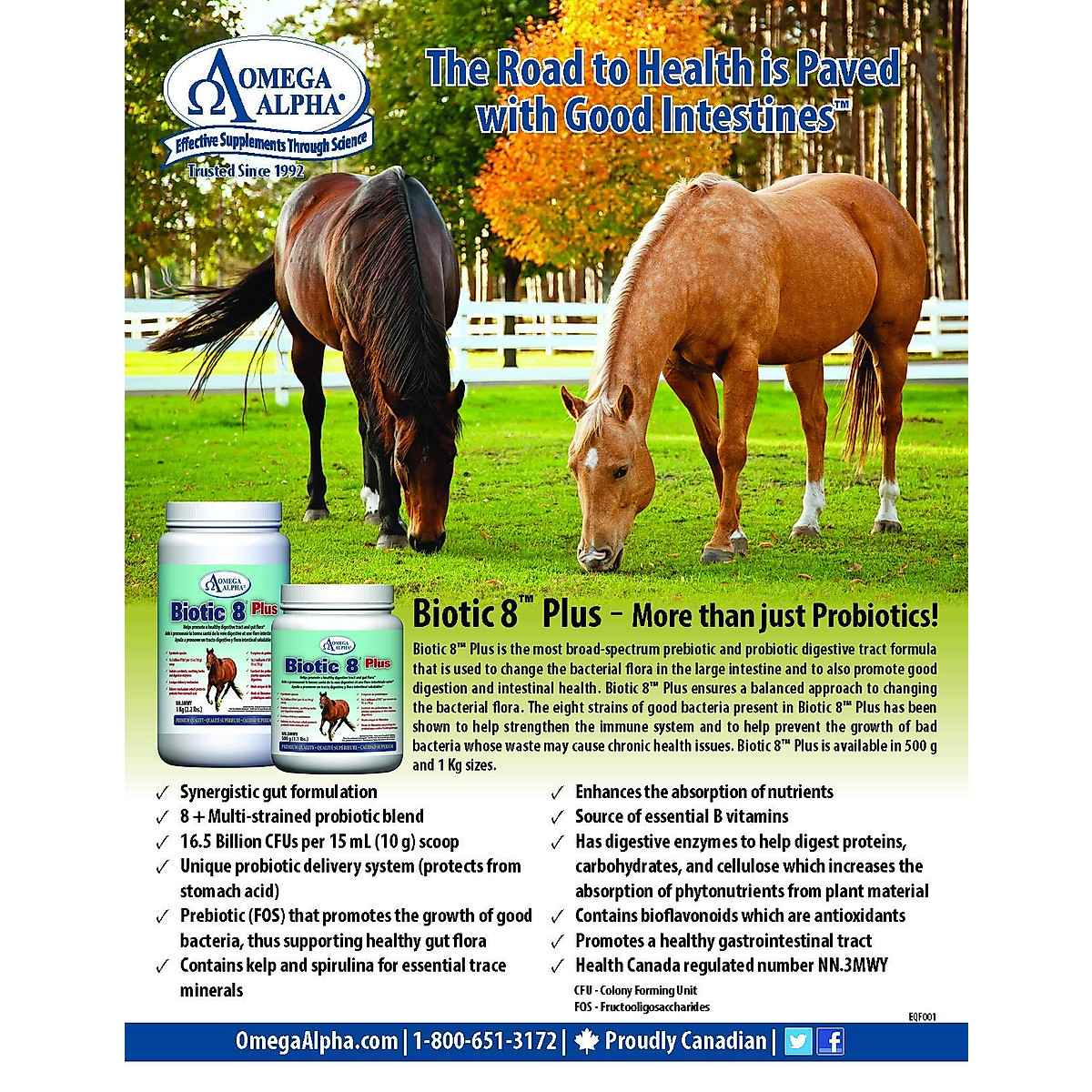 Omega Alpha Biotic 8 2.2lbs for horses