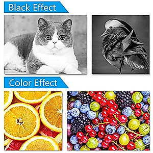 KCMYTONER Remanufactured 65 High Yield Ink Cartridge Replacement for HP 65XL 65 XL N9K04AN Compatible with DESKJET 2634 2655 Envy 5000 5055 AMP 100 120 125 130 Printer (Black, 1 Pack)